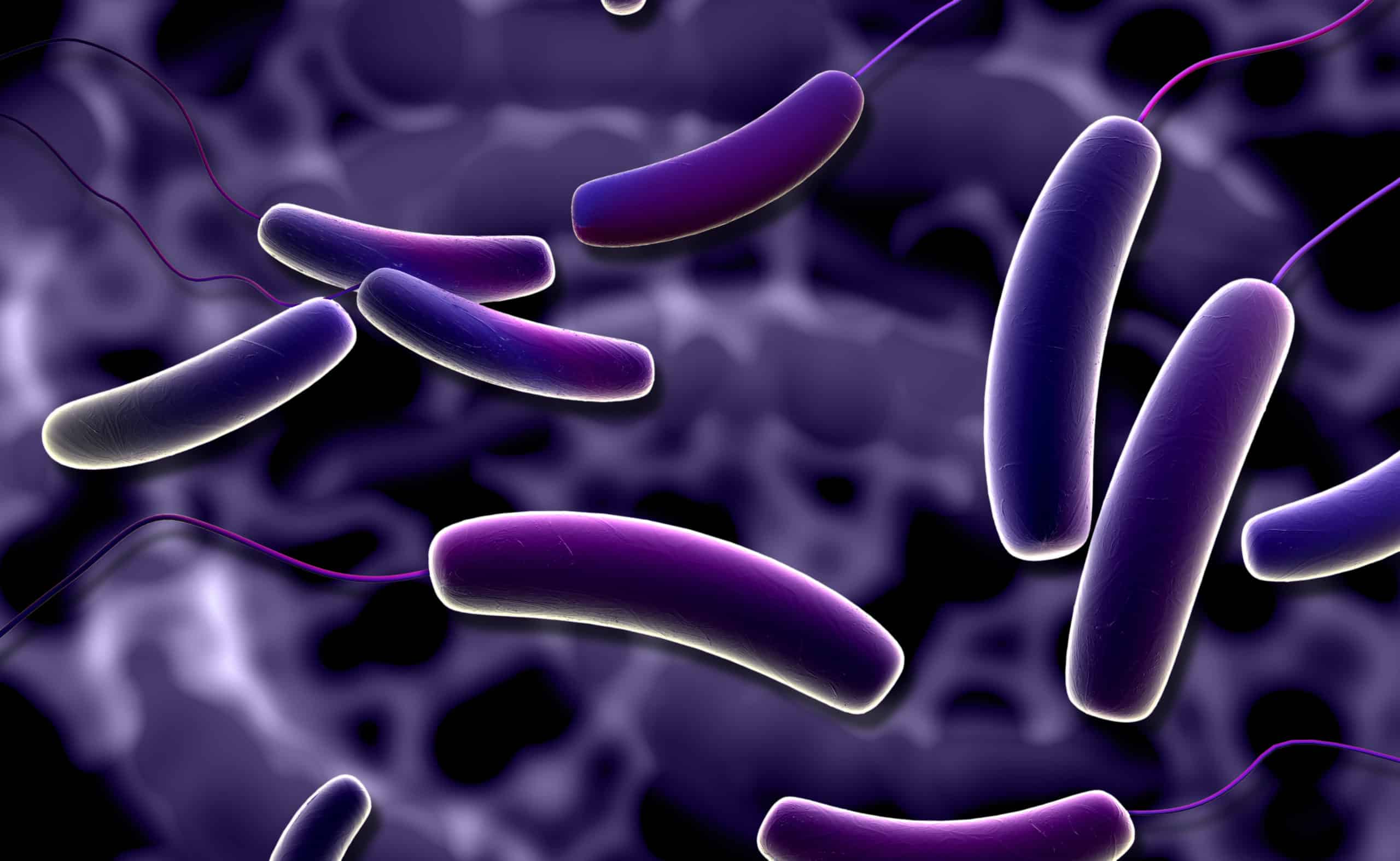 Probiotic supplements boost gut-friendly microbes - Chicago Health
