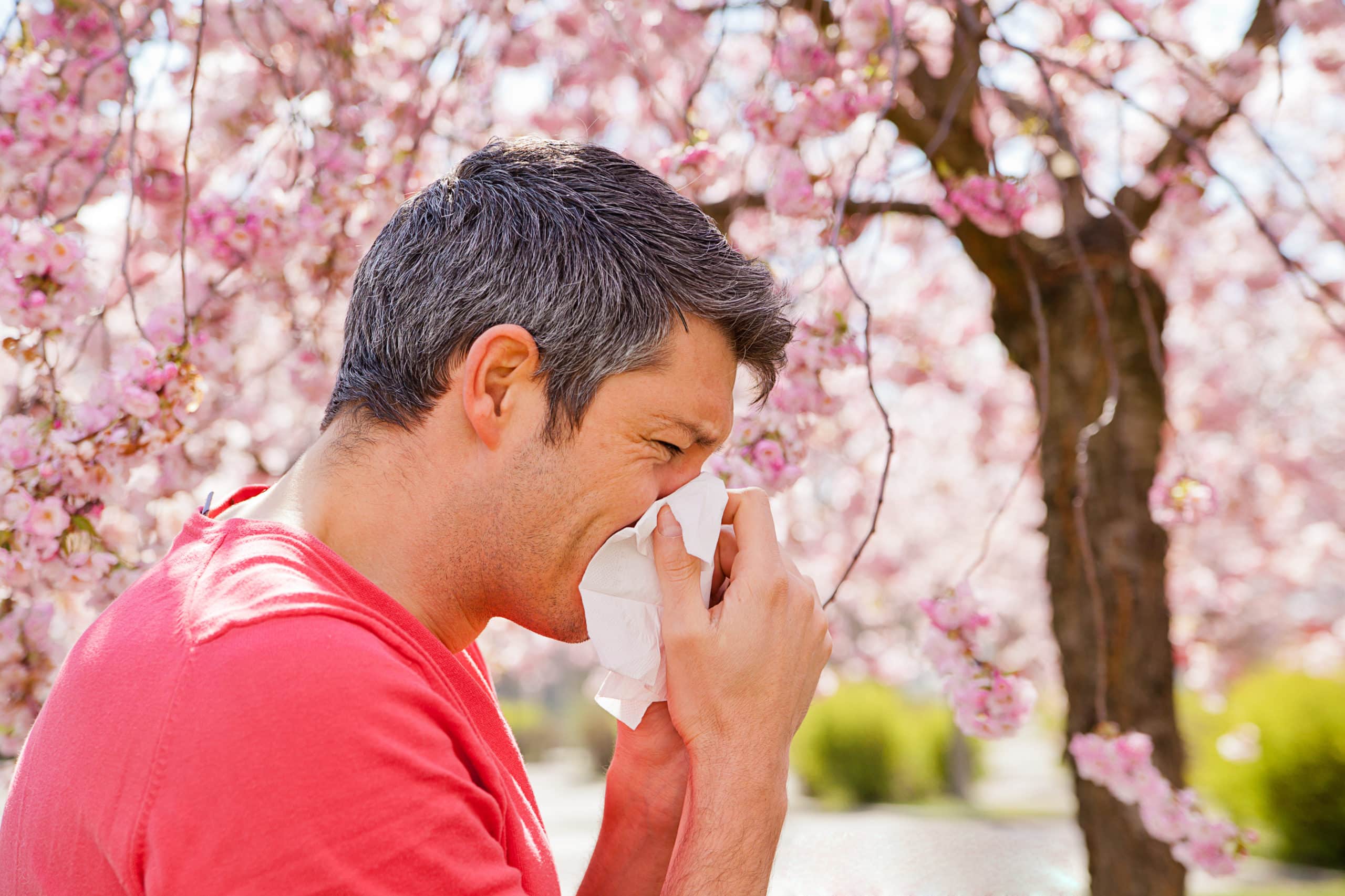Start treatment now to prevent spring allergy symptoms - Chicago Health