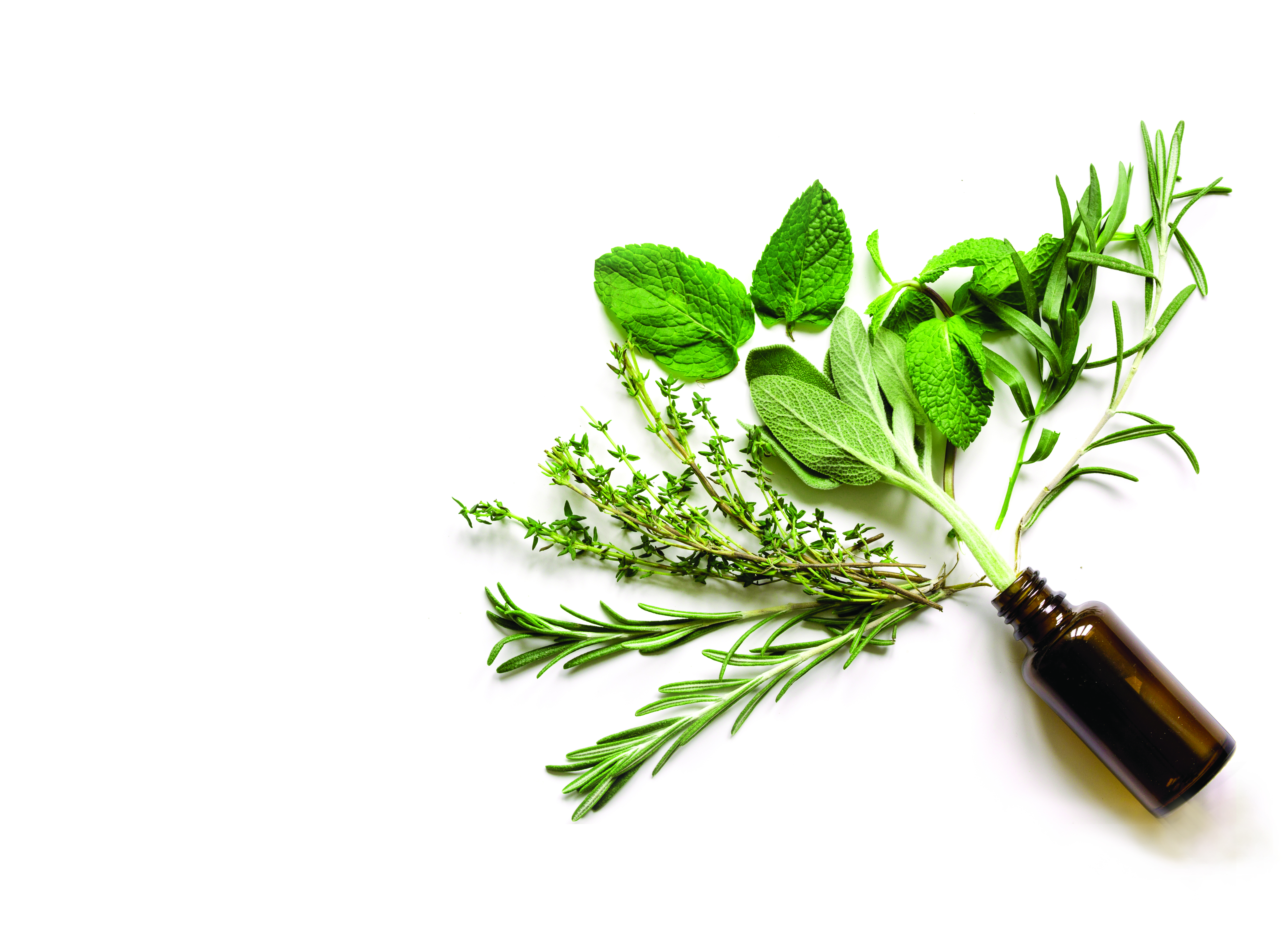 Healing Power of Aromatherapy | Chicago Health magazine