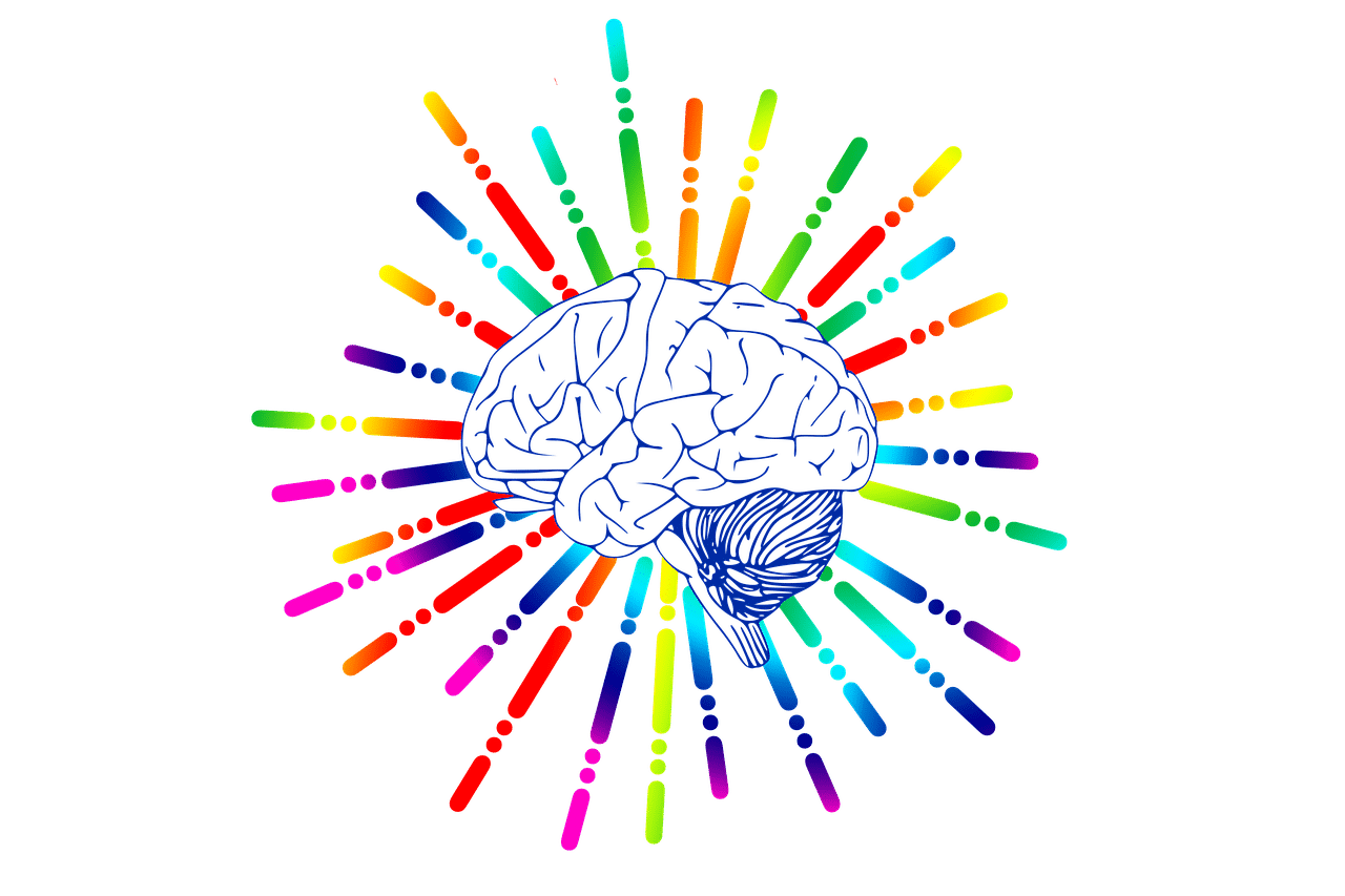 Brain Safety Starts With You - Chicago Health