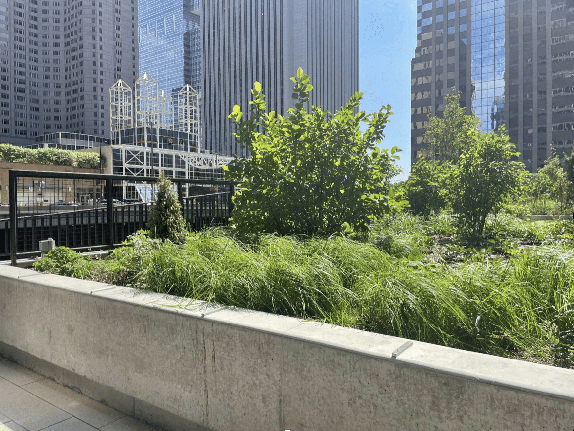 Scorched Cities - Chicago Health