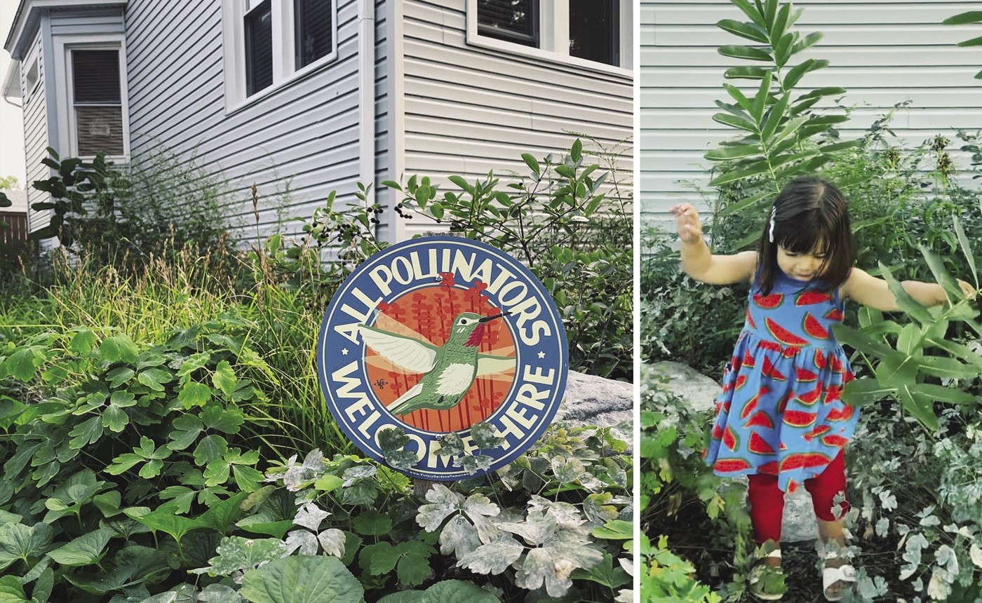 How To Start Your Own Native Garden