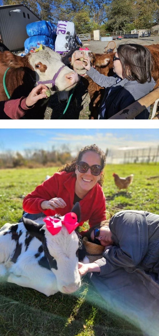 Animal Therapy - Chicago Health