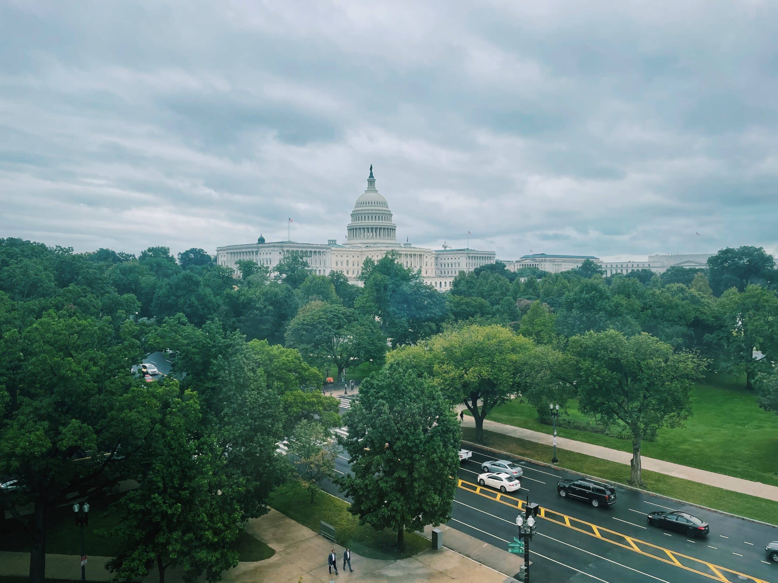 The Election Judge and the Bully - Chicago Health